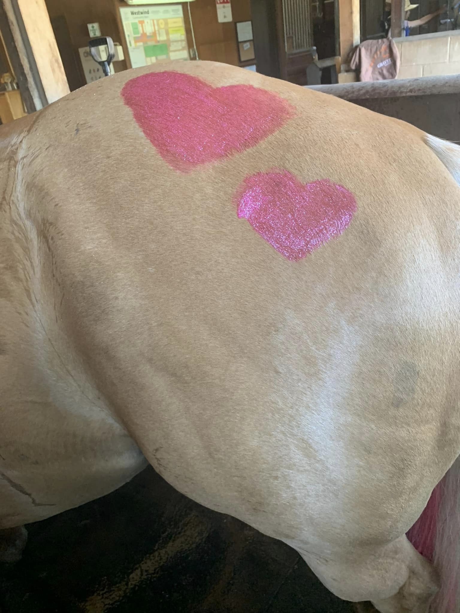 Victoria Dye Equestrian – at Westwind Community Barn